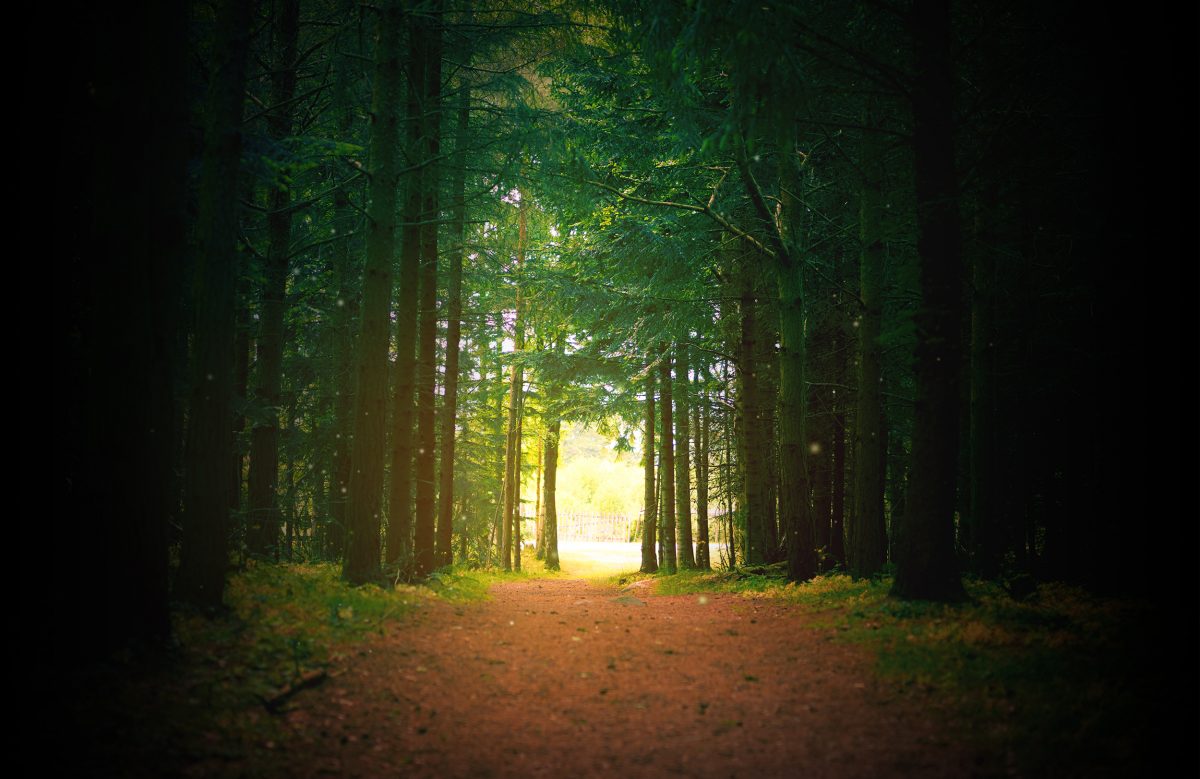 Environmentally Responsible Cover Materials by Ecological Fibers